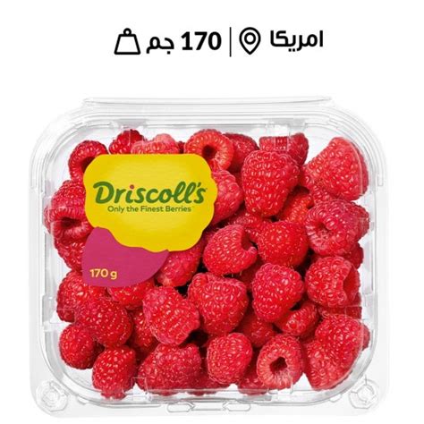 توت احمر امريكي باكت