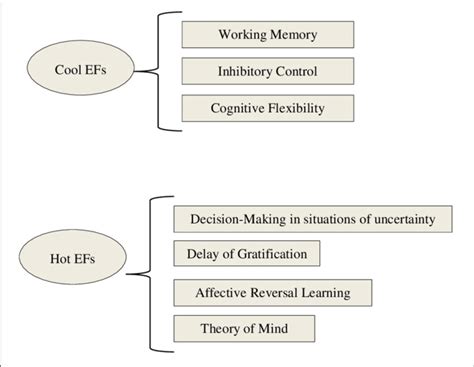 Framework Of Executive Function Processes Based On Zelazo And Carlson