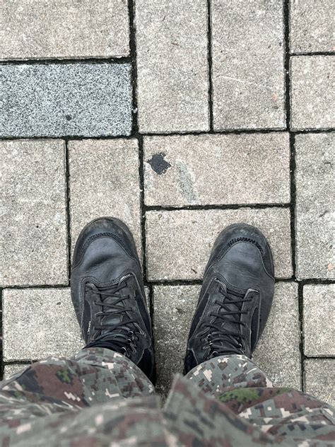 하 오덕양성소 에펨코리아