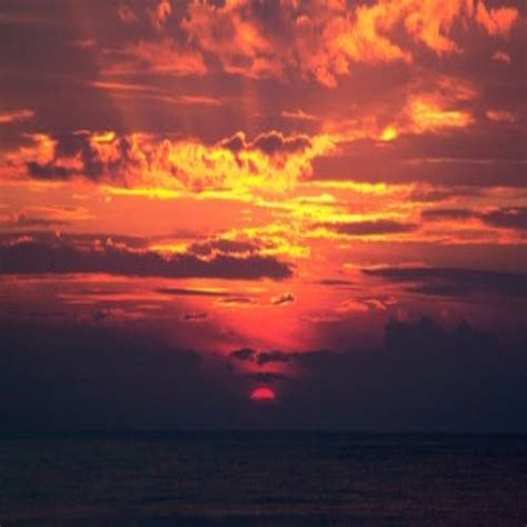 bpm and key for songs by beauty of reversal tempo for beauty of