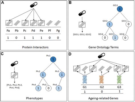 Predicting Lifespan Extending Chemical Compounds For C Elegans With Machine Learning And