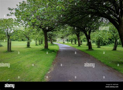 Path Through Park Tree Lined Path Wavertree Botanic Gardens