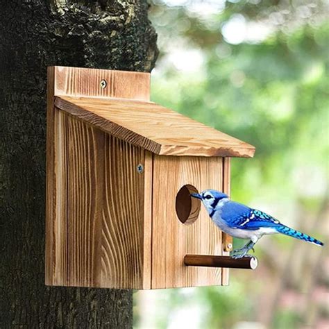 Nestkastje Bouwpakket Roodborstje Nestkast Voor Mezen Vogelhuisje