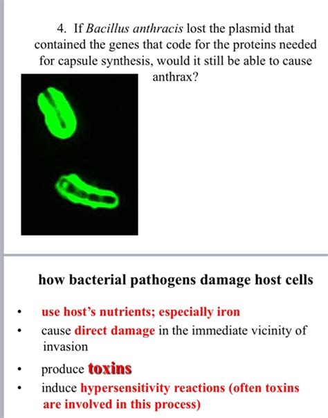 The Best Genital Warts Pathogen References Abtrefrigerator