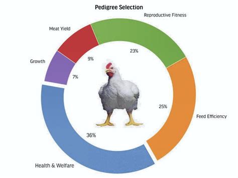Growth Of The Poultry Industry Reflects Power Of Precision Farming Free