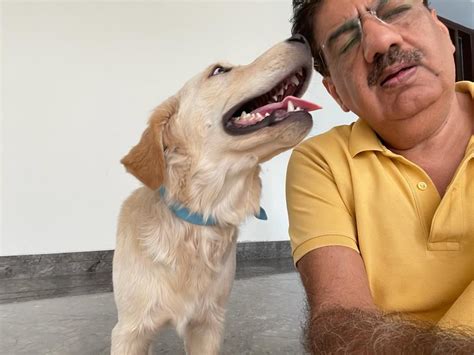 Saurabh Kumar Irs Posted On Linkedin