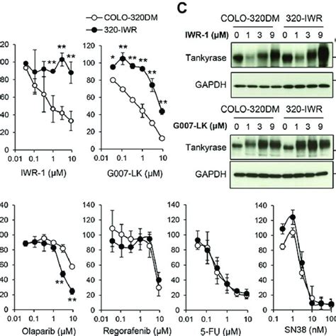 Alteration of canonical Wnt β catenin signaling in IWR cells A Download Scientific