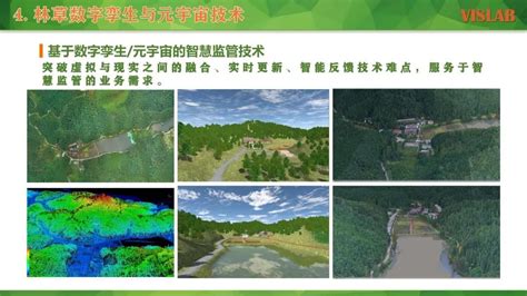 【林家讲堂】林草智能可视化技术与服务 关注森林