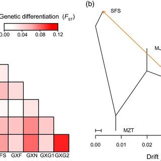 Genetic Differentiation And Gene Flow Analysis A Genetic Download Scientific Diagram