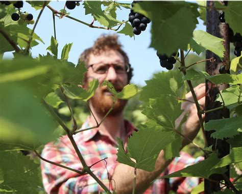 Iapetus Free Run Wine Merchants