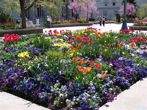 Summer In Utah 5 Activities For Wildflower Fun Seven Slopes