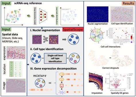 Alfonso Saera Vila On Linkedin Spatialtranscriptomics Genomics