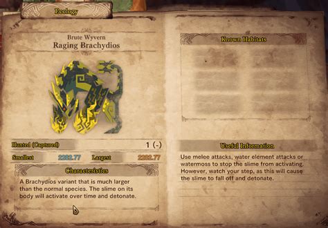 Hunters And Huntresses My First Raging Brachy Ever In Mh World I