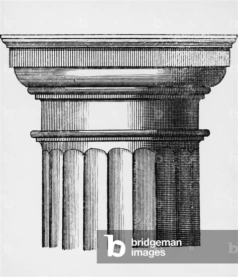 Image Of Capital With Abacus And Echinus Detail From Doric Column
