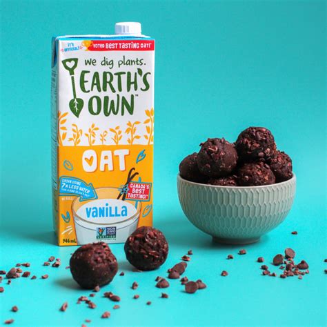 Earths Own Blog Double Chocolate Chip Edible Cookie Dough
