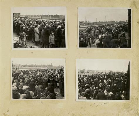 The Auschwitz Album Selection