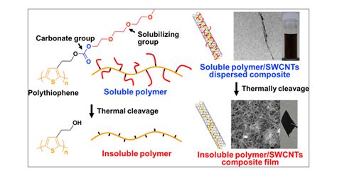Noncovalent Modification Of Single Walled Carbon Nanotubes Using Thermally Cleavable