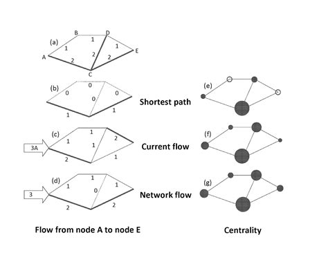 Connectivity Analysis