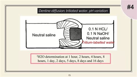 Journal Club Diffusion Of Hydrogen Ion And Hydroxyl Ion From Various