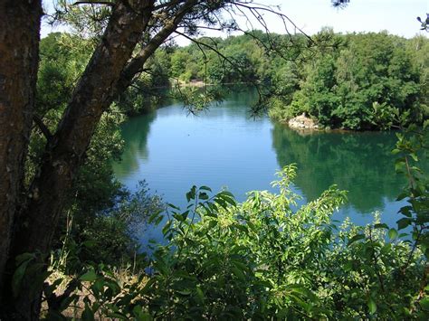 Fotos Gratis árbol Agua Bosque Lluvia Lago Río Corriente Selva