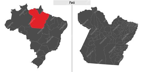 Mapa Del Estado De Pará De Brasil Vector Premium
