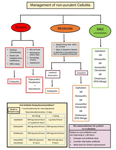 Resurrecting Lowly Cephalexin For Non Purulent Ssti Journalfeed