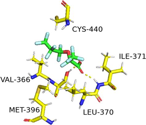 Binding Region Of Hfpo Da With P450 Download Scientific Diagram