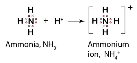 5 5 1 Dative Bond My
