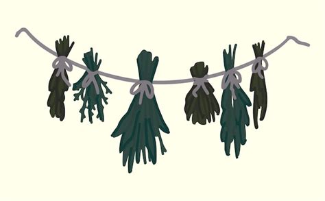 Premium Vector Doodle Of Bunches Of Dried Grass Hanging Herbs On Rope Herbarium Witchcraft
