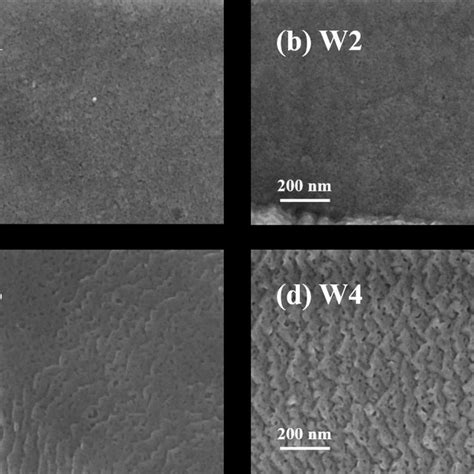 Surface Modification Of W Samples Before And After He Plasma Exposure Download Scientific