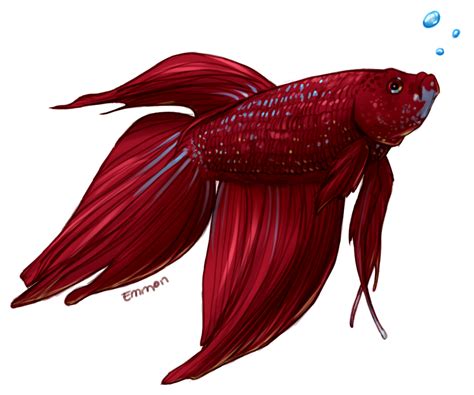Fisj By Emmonarts On Deviantart