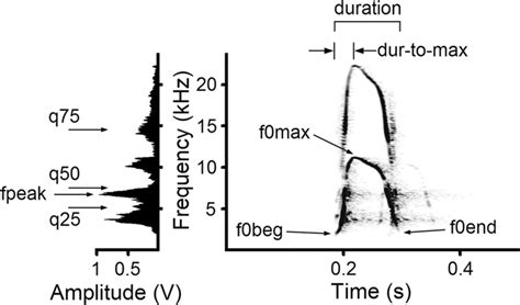 Measured Acoustic Variables Of The Altai Pika Alarm Calls Mean Power