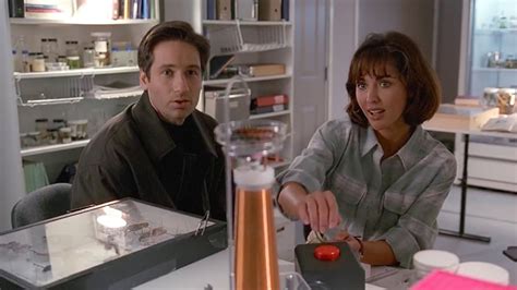 War Of The Coprophages 1996 War Of The Coprophages 1996