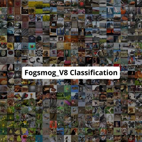Uisikdagyolo V8 Fog Or Smog Classification · Hugging Face