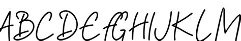 Sky Fly Script Font Script Casual Handwritten What Font Is