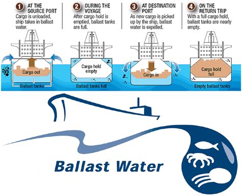 Ballast Water Of Ships At Benjamin Lorenzo Blog