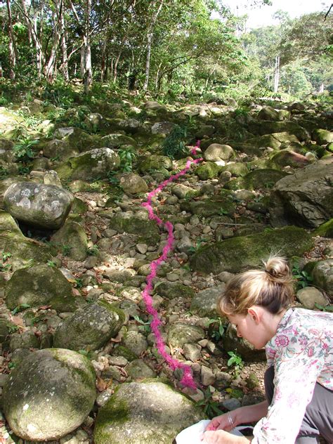 Suzanne Hutton Rednile Projects