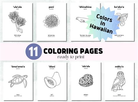 Hawaiian Colors Coloring Pages Nā Waihooluu Digital Download