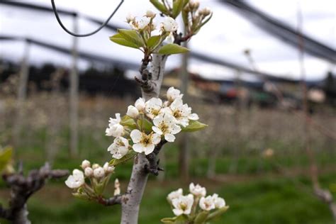 3000 Styria Pictures