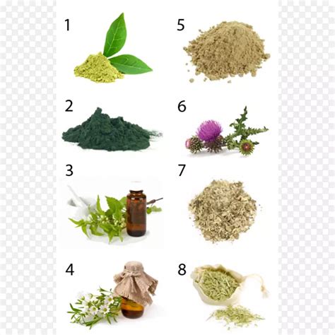 植物提取物png图片素材下载图片编号5677022 Png素材网