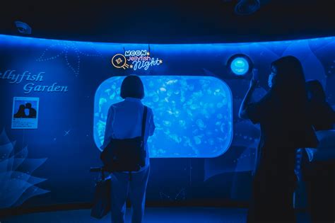 Coex Aquarium Seoul