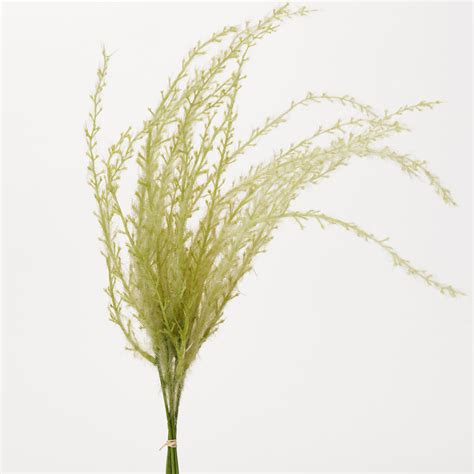 Faux Green Plume Pampas Grass Spray Bundle Of 6 Wired Stems 16