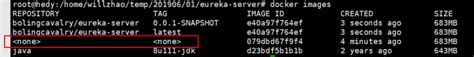 docker镜像列表中的none none是什么 docker csdn博客