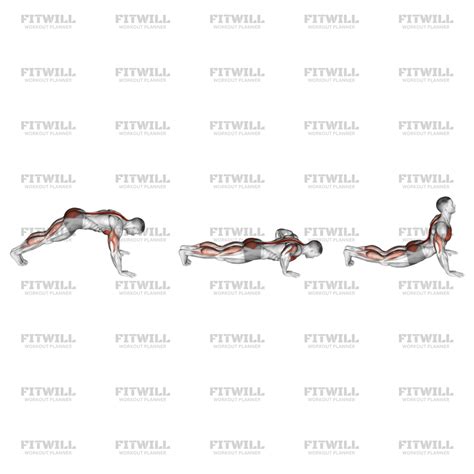 Ultimate Bodyweight Push Up Routine For Upper Body Strength Workout Library Fitwill
