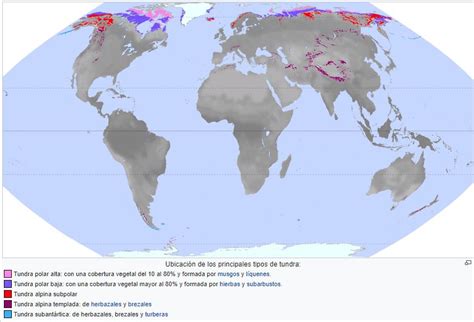 Tundra Clima Fauna Flora Y Sus Características Ovacen