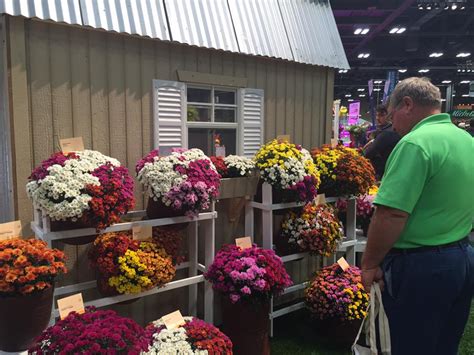 Our Team Is Having A The Greenhouse Mum And Pumpkin Patch