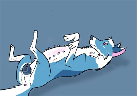 Rule 34 Anatomically Correct Animal Genitalia Animal Pussy Anus Ass