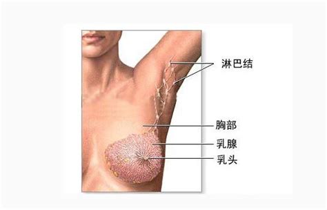 宫颈腺癌补硒（补宫颈硒腺癌的药物） 硒宝网