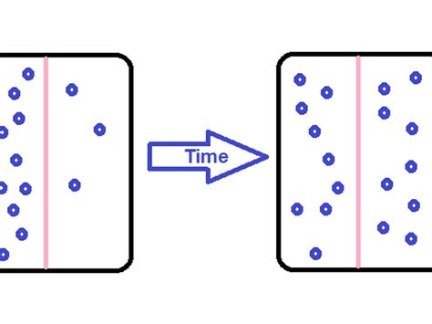 Types Of Membrane Transport The Complete List 33science