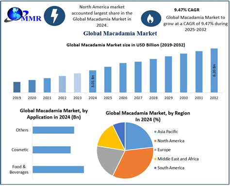 Macadamia Market Industry Analysis And Forecast 2025 2032